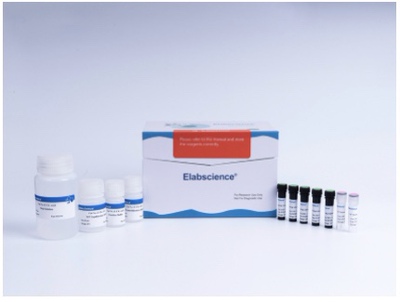 Elabscience® 一步法TUNEL流式凋亡检测试剂盒（蓝色，EV450）