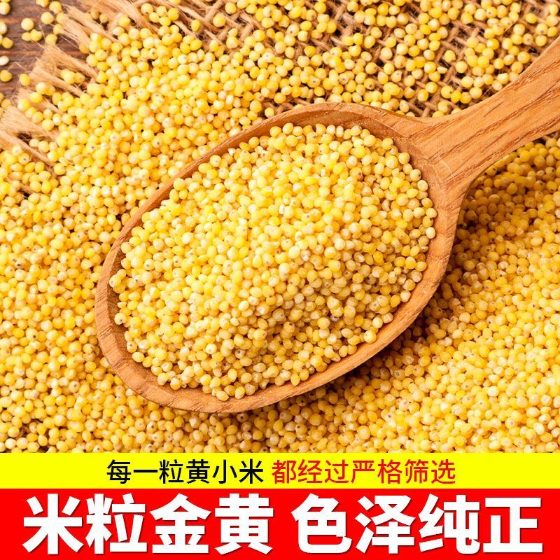 【新米】黄小米五谷杂粮农家小米煮小米粥正品正宗黄小米批发5斤