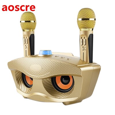 SD306 Dual Bluetooth Speaker with 2 Wireless Microphones Out