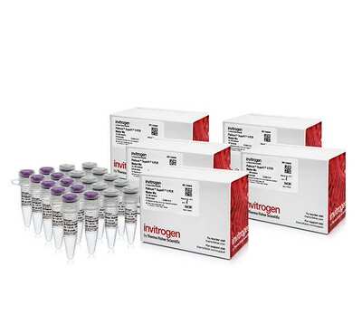 Invitrogen赛默飞PCR耗材代购