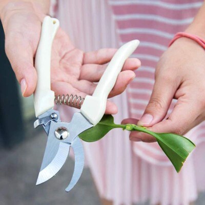 Stainless Steel Garden Scissors Grafting Tool Fruit Tree Pru