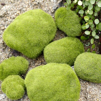 Simulation Moss False Green Stone Rock Lichen Plant Miniatu