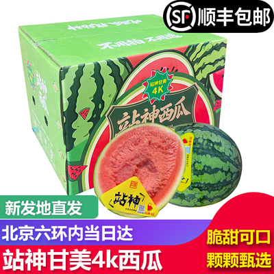 站神甘美4K西瓜1个整箱