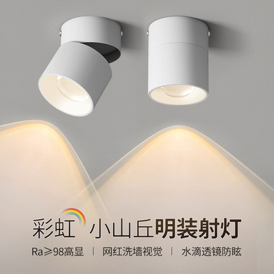 国欧小山丘明装射灯大厂直供