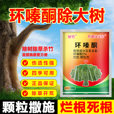 环嗪哃除树剂大枯死专用药