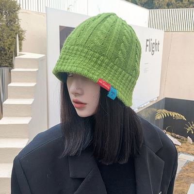 Women's Winter Knitted Hat Woolen Twist Fisherman Hat Autumn