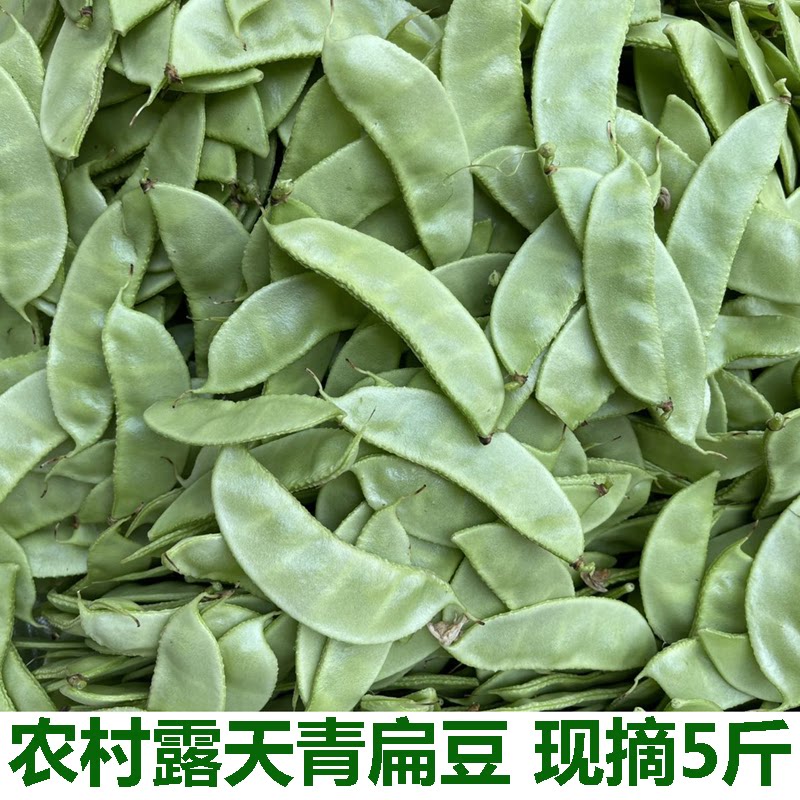 扁豆角新鲜蔬菜农家自种月儿菜扁豆眉豆白扁豆青豆角扁豆荚嫩包邮