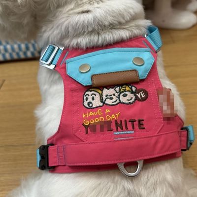 夏季轻薄猫狗胸背牵引嗨轻胸背平替防挣脱舒适轻量出门神器宠物