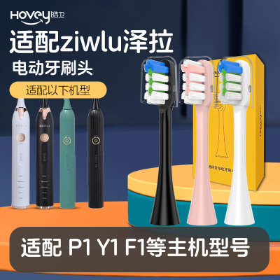 适配日本ziwlu泽拉电动牙刷头P1/F1/X9/Y1/SD lSP1/FSP2/A156/H2