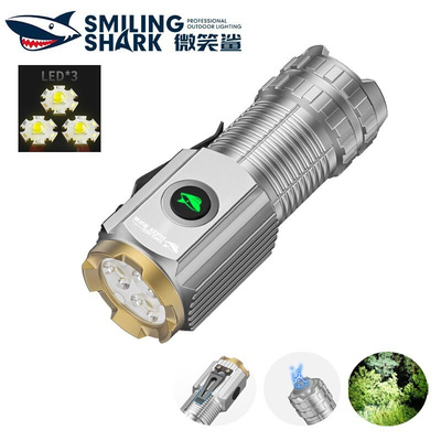 Ultra-bright outdoor fixed-focus spotlight mini flashlight