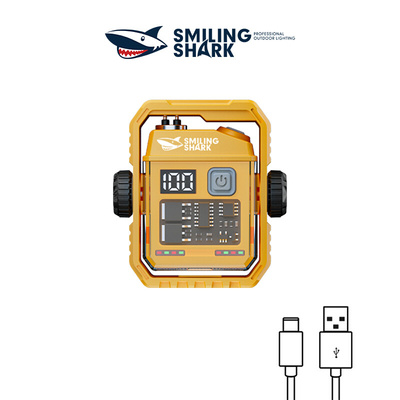 Mini USB Internet celebrity charging lighter cigarette light