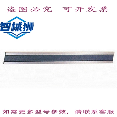 原装供应 BLUETEC/BDS113-1500/工字梁式直尺 500/50/10米