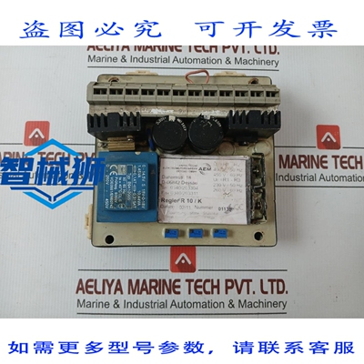 原装供应 AEM REGLER R 10/K 自动稳压器 260V/60 Hz
