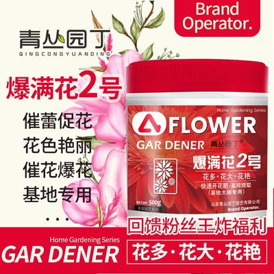 青丛园丁爆满花2号催花爆花早秋延长花期家庭园艺花卉植物通用