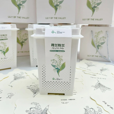 有寻植物 荷兰进口铃兰向日葵种植套装成品盆栽精品节日好礼送礼