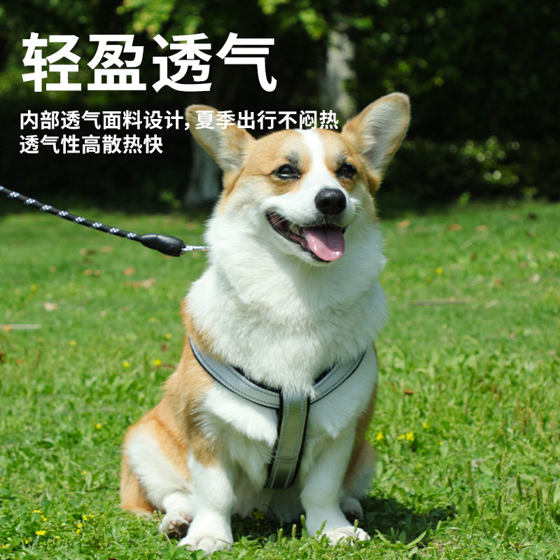 Y型胸抱婴袋狗狗牵引绳背心式防护柔软透气不勒脖牵引绳中小型狗