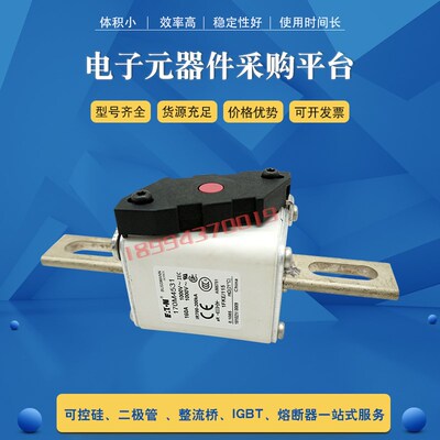 快速保险丝熔断器170M4531 170M4532 170M4533 170M4534全新