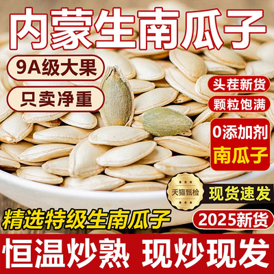 新疆美人甲南瓜子特大颗长粒