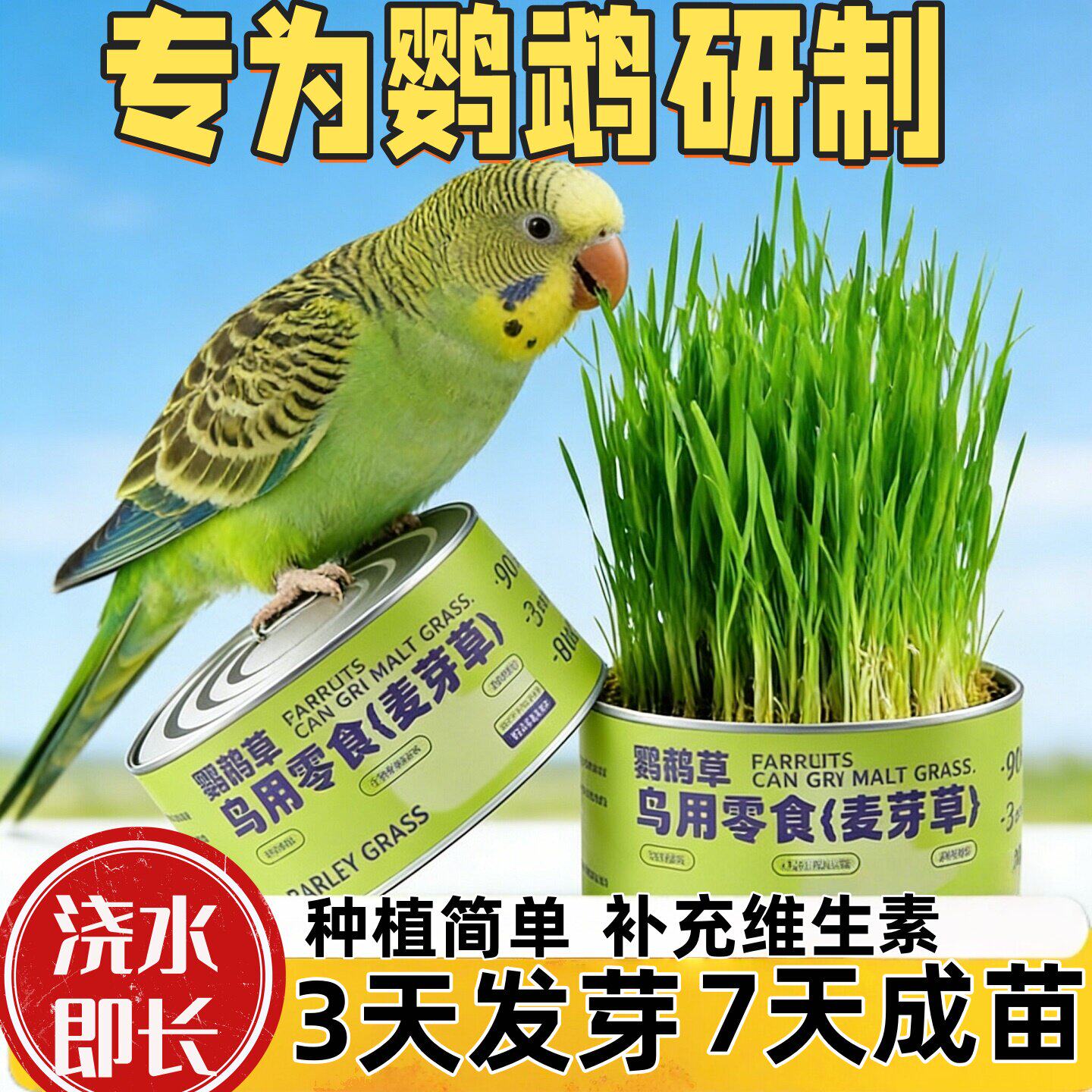 鹦鹉麦芽草粮大麦种子鹦鹉食用啃咬料鸟草盒零食消化解闷防啄毛饲