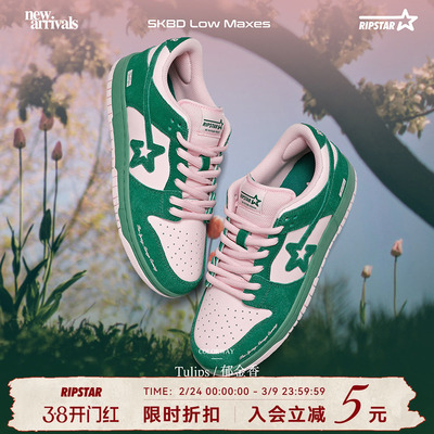 RIPSTAR/爆炸星春秋透气低帮板鞋