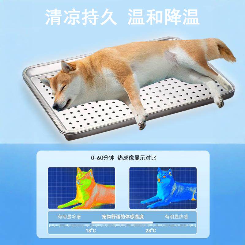 宠物不锈钢降温设备 冰盒冰窝适用猫狗龙猫解暑