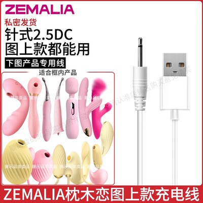 适用ZEMALIA充电线枕木恋塔娜 逗趣鸟 逗豆 点潮笔玩具数据线电源