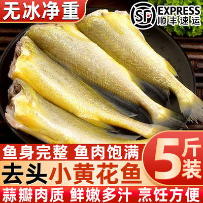 去头无冰小黄鱼冷冻生鲜烧烤