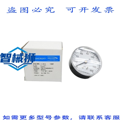 原装供应 ASHCROF 25W1005H01B160160PSI 2-1/2 NSMP