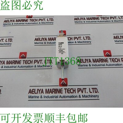 原装供应2x Tirh Nt0 63a 保险丝