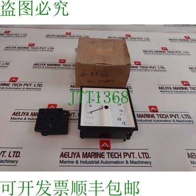 原装供应Rishabh Zb 27043 模拟电压表 0-75 KV