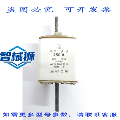 原装供应 GOULD SHAWMUT NH2 GL-GL 保险丝 250A