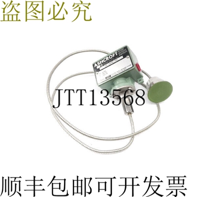 原装供应阿什克罗夫特 B420B 125/250VAC 15A 1000PSI NSNP