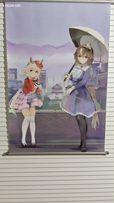 赛马娘/闪耀优俊少女 真机伶&卡莲金花挂画2025西安马娘ONLY余量