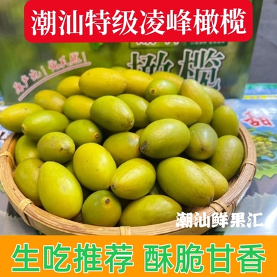 潮汕特产特级灵峰橄榄新鲜现摘酥脆原味甘香生吃凌峰橄榄青橄榄果