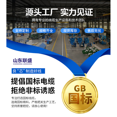 山东联盛高柔性拖链电缆