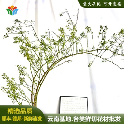 山归来客厅水养高端花材