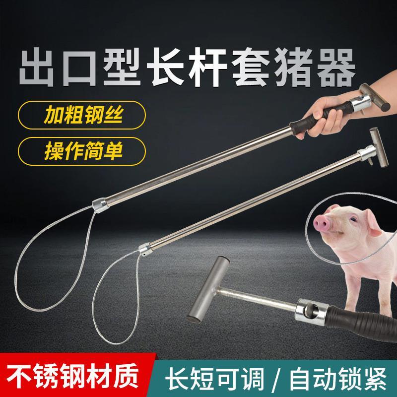 出口型不锈钢套猪器猪用保定器套猪嘴神器母猪套索杆养殖场抓猪器