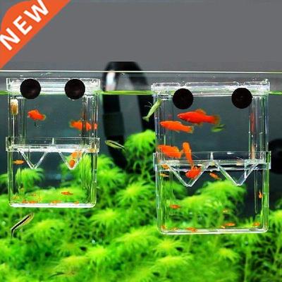 Double-Deck Clear Acrylic Fish Breeding Isolation Box