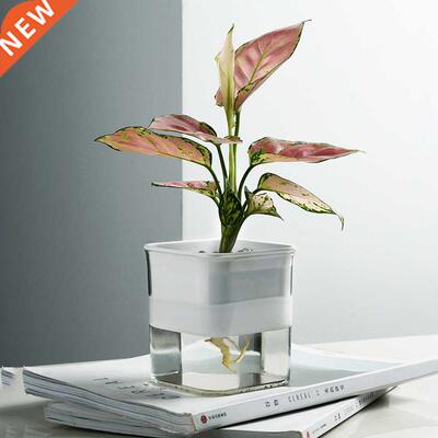 Small Planter Pot With Water Tank Self Watering Plastic Squa