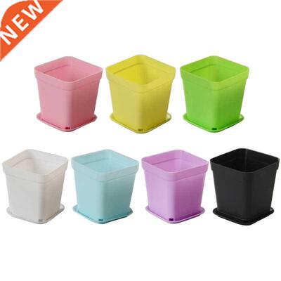 Pretty Cactus Plant Pot for African Violets, Succulent, Flow