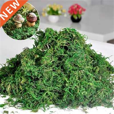 20g/50g/100g Artfcal Moss Smulaton Fake Green Plants