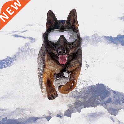Foldable Pet Dog glasses medium Lge Dog pet glasses Pet