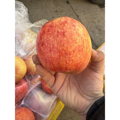 【爱香妃苹果】京东快递 烟台苹果 香味足 硬脆汁水多 7到9个果王