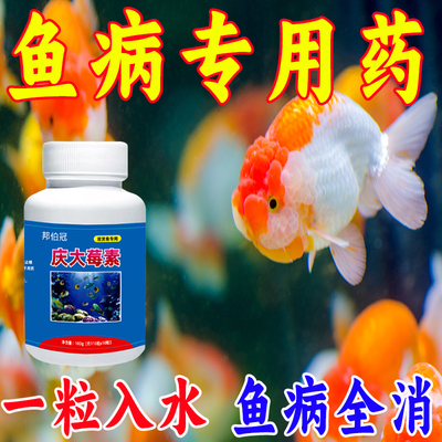 进口专用烂尾烂鳍金鱼锦鲤消毒