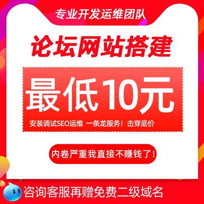 论坛搭建DZ论坛Discuz网站开发博客建设制作域名空间源码云主机