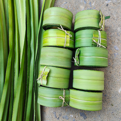 特色粽叶现割露兜叶阳春特产