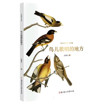 儿童文学鸟儿歌唱的地方高维生