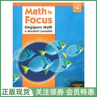 新加坡数学教材MathinFocus