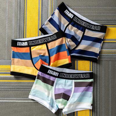 Japanese Sports Underwear Men Underpants Cotton Youth Men's