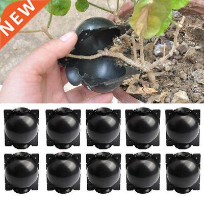 10pcs Plant Rooting Equipment High Pressure Propagation